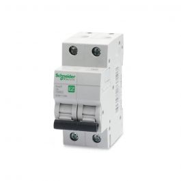 Buy Easy9 MCB 2P 6A C 6000A 415V Easy9 - Schneider Electric